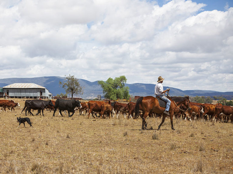 transport - Spring Grove Fresh Food Company